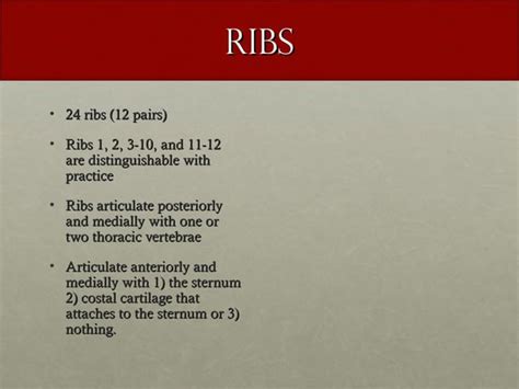 05 The Axial Skeleton English Ppt