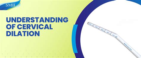 Understanding Cervical Dilation Smb Cervical Dilator For Safe And