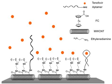 Electrochemical Aptamer Biosensors For Drugs ‒ Lsi ‐ Epfl