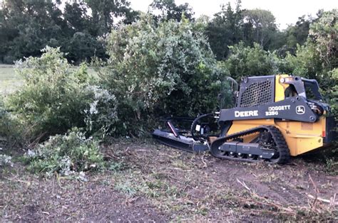 Underbrush Clearing