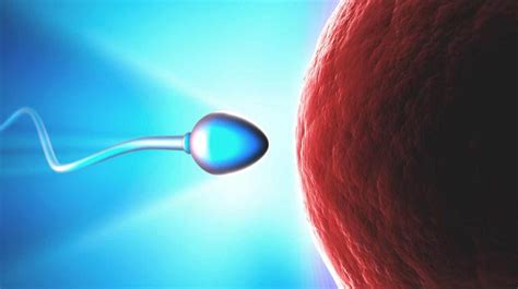 How Are Blocked Sperm Tube Diagnosed Epididymal Obstruction