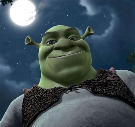 Pin By Eggs On Shrexy Shrek Shrek Aesthetic Cute Shrek Funny