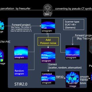 Schematic Flow Of The Data Processing Download Scientific Diagram