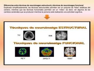 Morfología Macroscópica Funcional Pptx