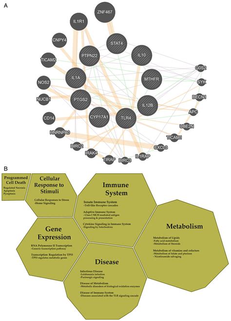 Analysis Of The Common Genetic Targets And Their Corresponding Genes
