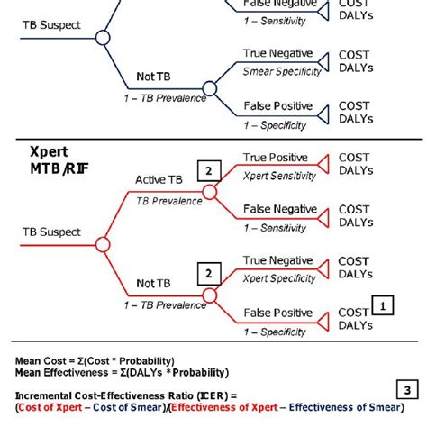 Schematic Decision Analysis Decision Tree For A Hypothetical