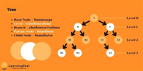 Data Structure คืออะไร ใช้ทำอะไร ทักษะสู่อนาคต