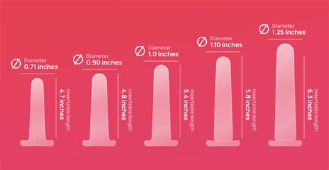 Beginner Dildo Guide Safe Sizes Materials And First Use Evolution Zone
