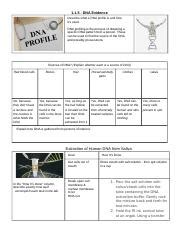 Understanding DNA Evidence Profiling Extraction And Analysis Course Hero