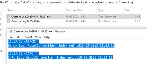 how to enable custom logger in sitecore