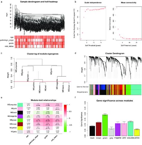 identification of the key module by wgcna a clustering dendrogram of