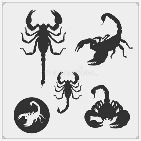Durango Scorpion Tattoos Tattoo Of Scorpions Insects