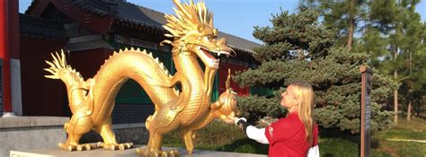 Чайные знаки — Прогулка с Драконом Walk with the Dragon