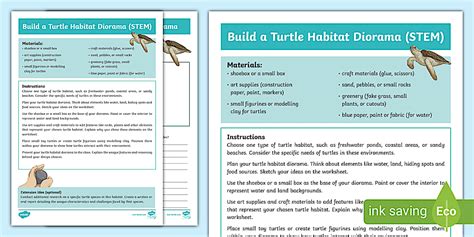 World Turtle Day Turtle Habitat Diorama Stem Twinkl