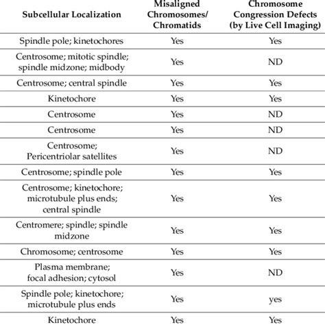 Integrated Model Of Chromosome Congression In Human Cells In This Download Scientific Diagram