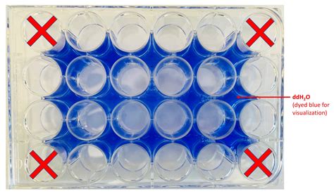 Video Single Particle Interferometric Reflectance Imaging