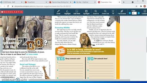 Day 1 Debate Animals In Zoos Youtube