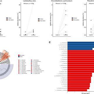 Differential Abundances Of Bacterial Taxa Between The Two Groups A The Download Scientific