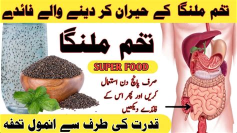 Benefits Of Basil Seeds Tukh Malanga Ke Fayde Besil Seel Benefits