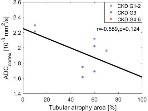 figure s1 correlation analysis between adc cortex and tubular atrophy