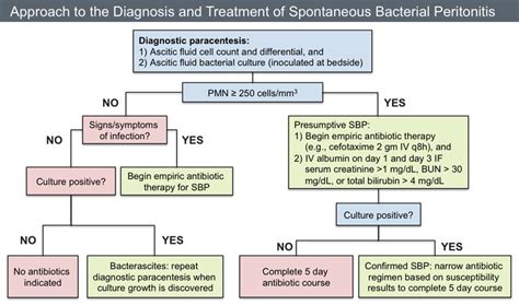 Spontaneous Bacterial Peritonitis Sbp Gastrointestinal Orthobullets