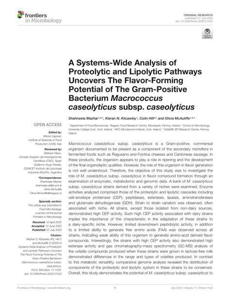 Pdf A Systems Wide Analysis Of Proteolytic And Lipolytic Pathways Uncovers The Flavor Forming