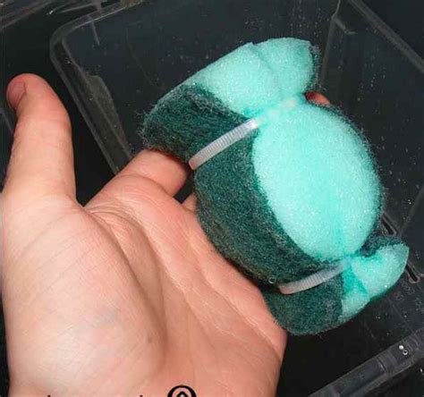 10 Diy Sponge Filter Ideas For Aquariums Diyncrafty