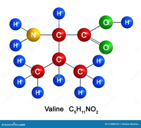 Valine Cartoons Illustrations And Vector Stock Images 318 Pictures To