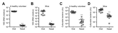 Figure S3 Relative Gene Copies Of 16s Rdna And Bacterial Load In In Download Scientific