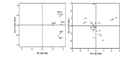 Loading Plot Of Principal Component Analysis The Image In The Left