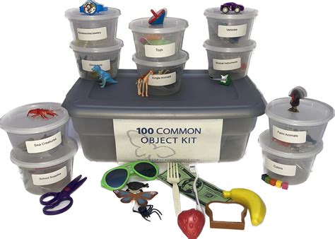 100 Common Objects Set