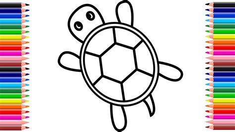 Paso A Paso Para Dibujar Una Linda Tortuga Tutorial De Dibujo De Una