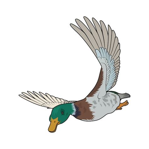 Mallard Duck Flying Vector Art Icon Premium Ai Generated Vector