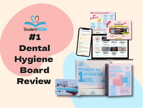 About Us Our Story And Team At Studentrdh