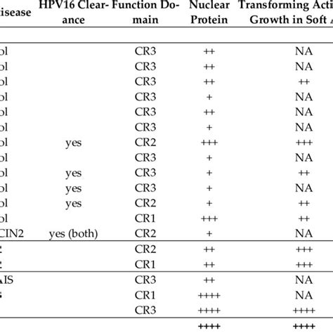 Summary Of The Hpv16 E7 Variants Protein Expression And Functional Assays Download