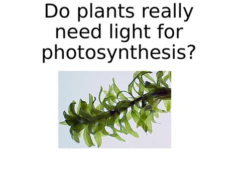 Aqa Elc Double Science Tda Updated Teaching Resources