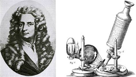 Cusevi Y Pemaco Una Nueva Forma De Vida Robert Hooke Y Las CÉlulas