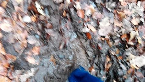 Mud Osiris D3 2001 Video 2