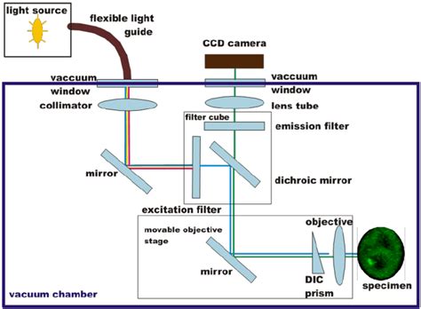 Schematic Layout Of The Incorporated Light Microscope The Filter Cube
