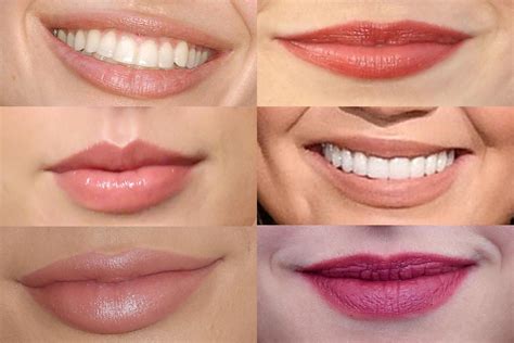Different Types Of Lips Chart Makeup Lip Chart Color Permane