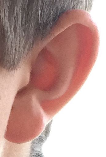 Active Listening And Extension Agrifutures Extension Practice