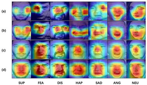 Hybrid Domain Consistency Constraints Based Deep Neural Network For Facial Expression Recognition