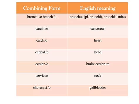 medical terminology combining forms ppt