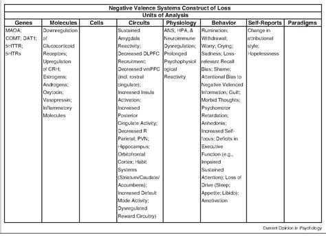 Figure 2 From Integrating Nimh Research Domain Criteria Rdoc Into Depression Research