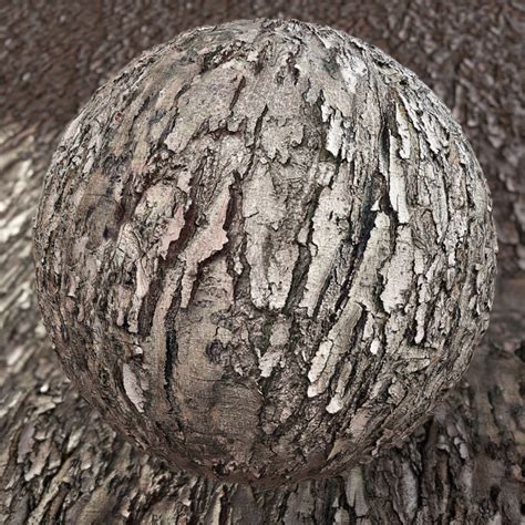Making A Tree Bark Texture With Photogrammetry