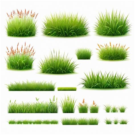 A Collection Of Different Types Of Grass With Different Shapes And