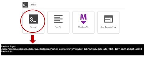 Jupyterlab Terminal Rc Learning Portal