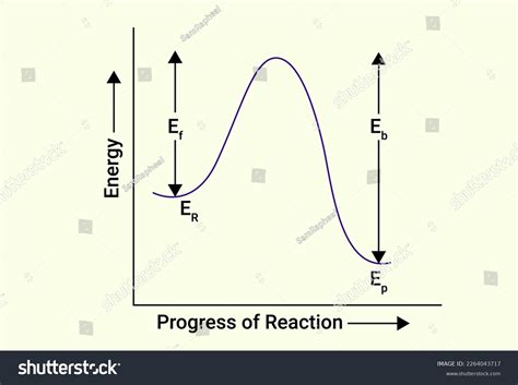 Graph Progress Reaction Energy Stock Vector Royalty Free 2264043717 Shutterstock