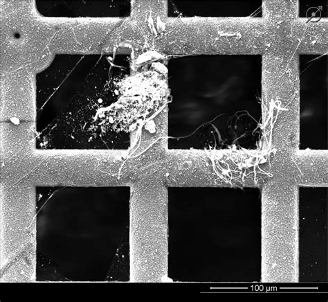 Sai Scientific Analytical Institute On Linkedin Sem Materials Id