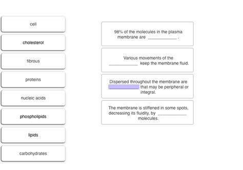 Solved Cell Of The Molecules In The Plasma Membrane Are Chegg